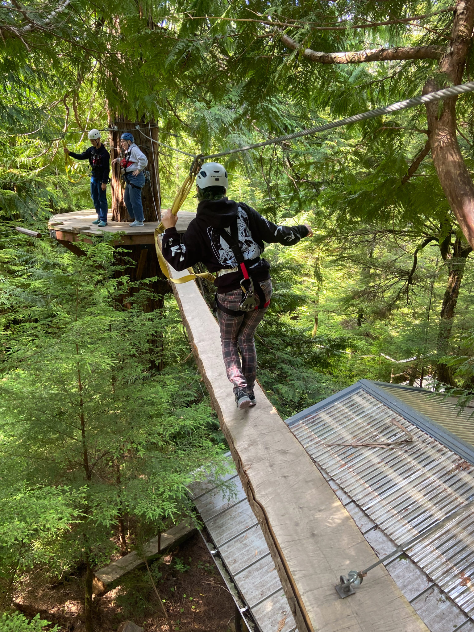 TG Log Walk – A Bisel Dis… A Bisel Dat